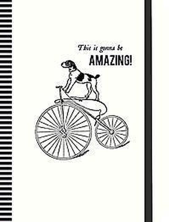 Alice Scott Vintage Prints Cycling Dog Gilded Journal — Mensing's Caminada