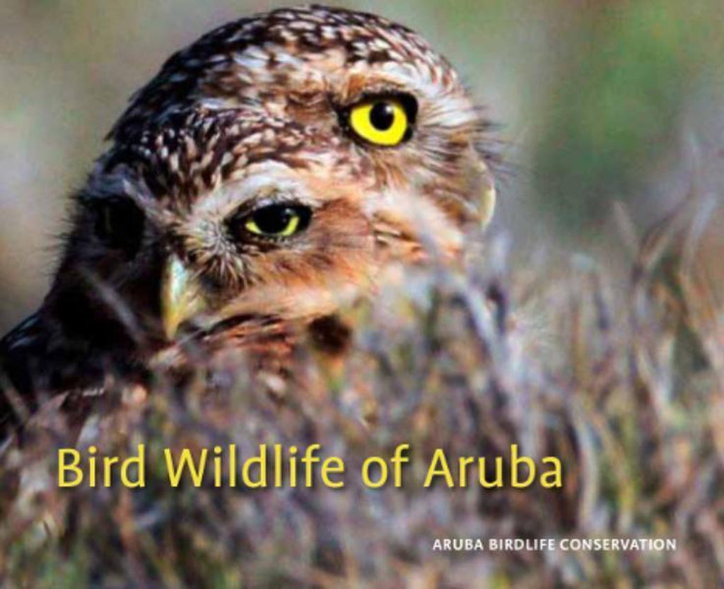 All Things Are Working For Your — Mensing's Caminada